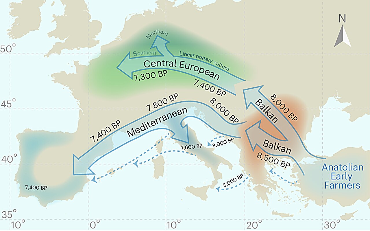 Cultural factors may have influenced height differences in early ...